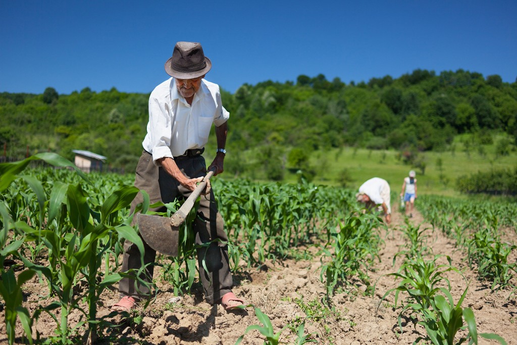¿Por qué el trabajo decente debe ser una prioridad para todos ...